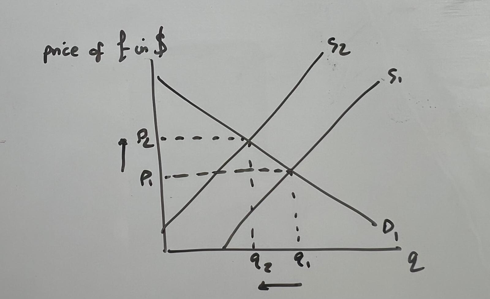 Causes of a Currency Appreciation | A-Level Economics Model Paragraph ...